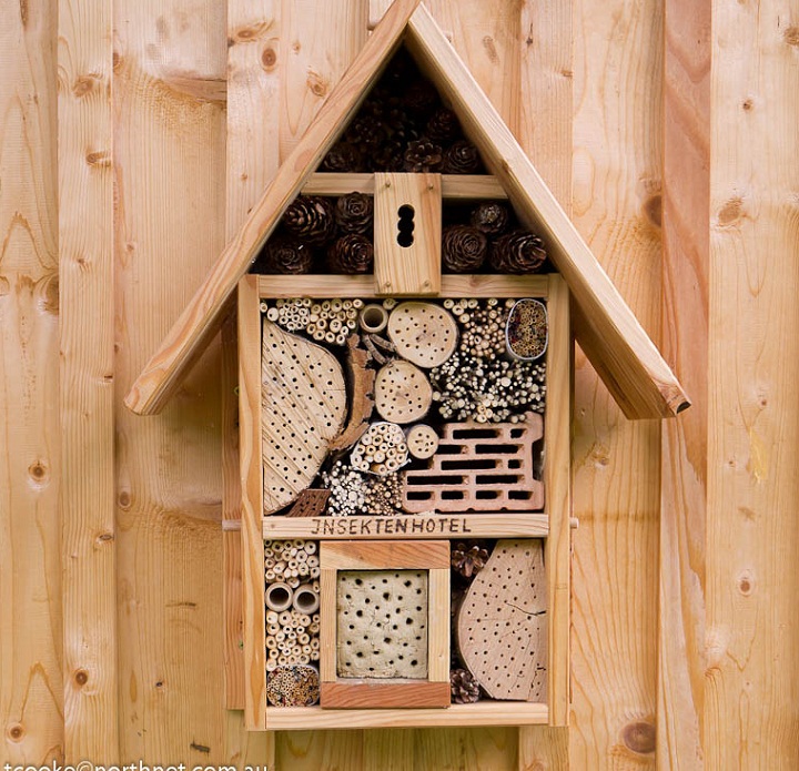 Insect Hotel • Insteading